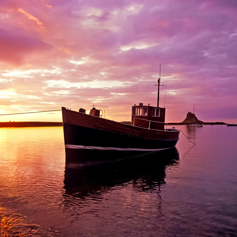 Death Notices North Tyneside – October 2024 - Funeral Directors North ...